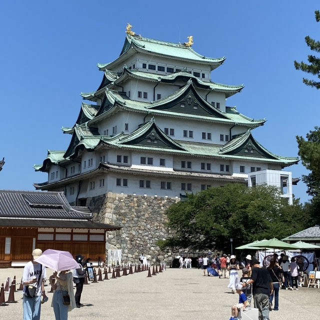 【名古屋城】天守閣に入れなくても楽しめる！現在の状況と木造復元の魅力 | 名古屋城エリアtanbou